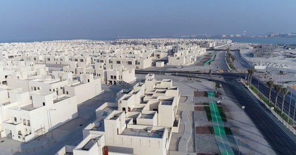 جريدة البلاد | تشجير شرق مدينة الحد